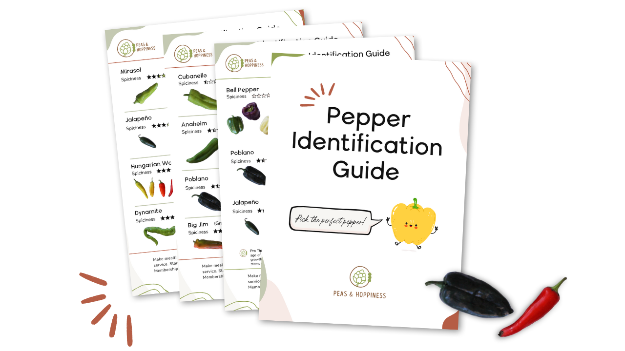 Pepper Identification Guide